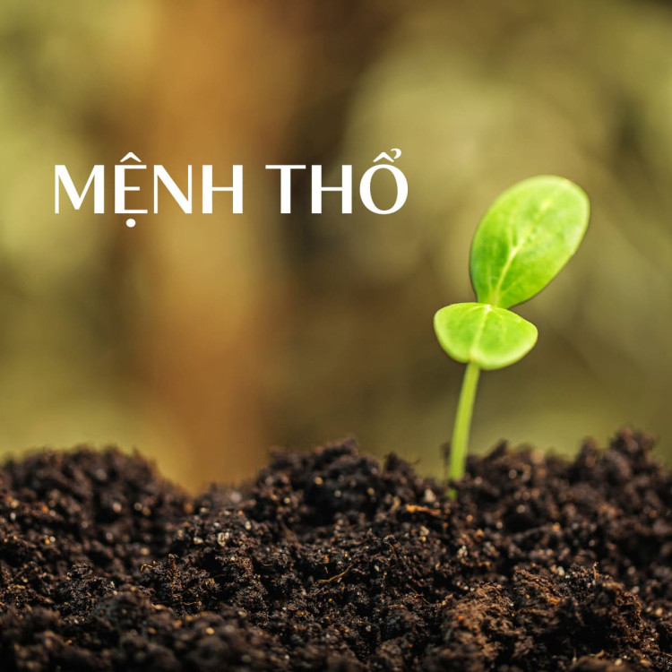 Cung Cấn là gì? Trọn bộ tử vi cho cung Cấn - Vua Nệm