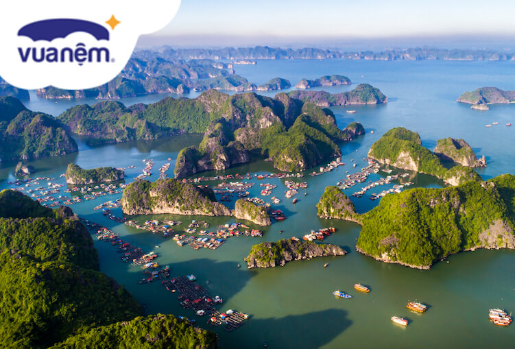 Đảo Cát Bà ở đâu? Kinh nghiệm du lịch đảo Cát Bà - Vua Nệm