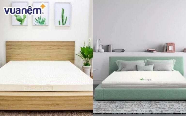So sánh nệm Vạn Thành và nệm Gummi: Nên chọn hãng nào?