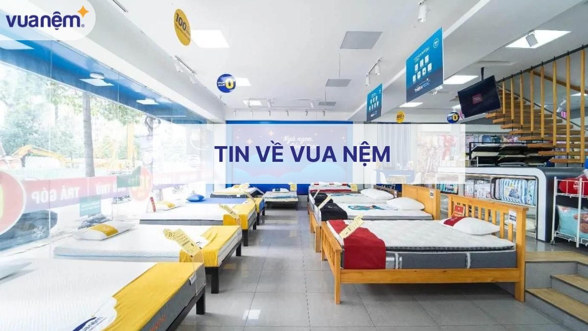 Chuyên Mục Tin Về Vua Nệm | Vua Nệm